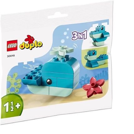 SPOP Enterprise Global